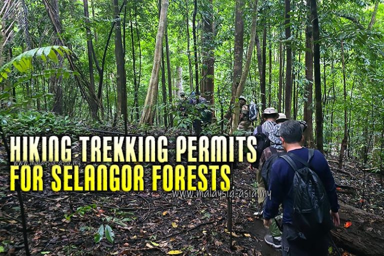 Hiking Trekking Permits for Selangor Forests - Malaysia Asia