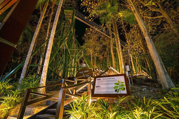 Perlis Canopy Walk Reopened by FRIM - MalaysiaAsia